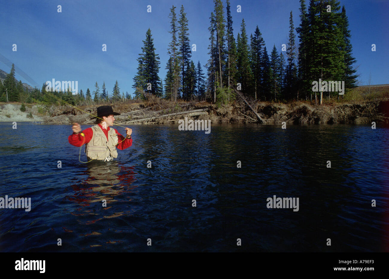 Fly fishing on Bow River in Banff Alberta Canada Stock Photo - Alamy
