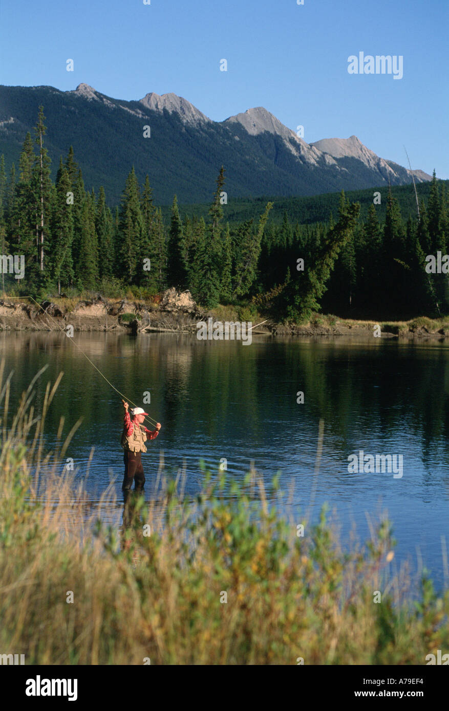 Fly fishing on Bow River in Banff Alberta Canada Stock Photo - Alamy