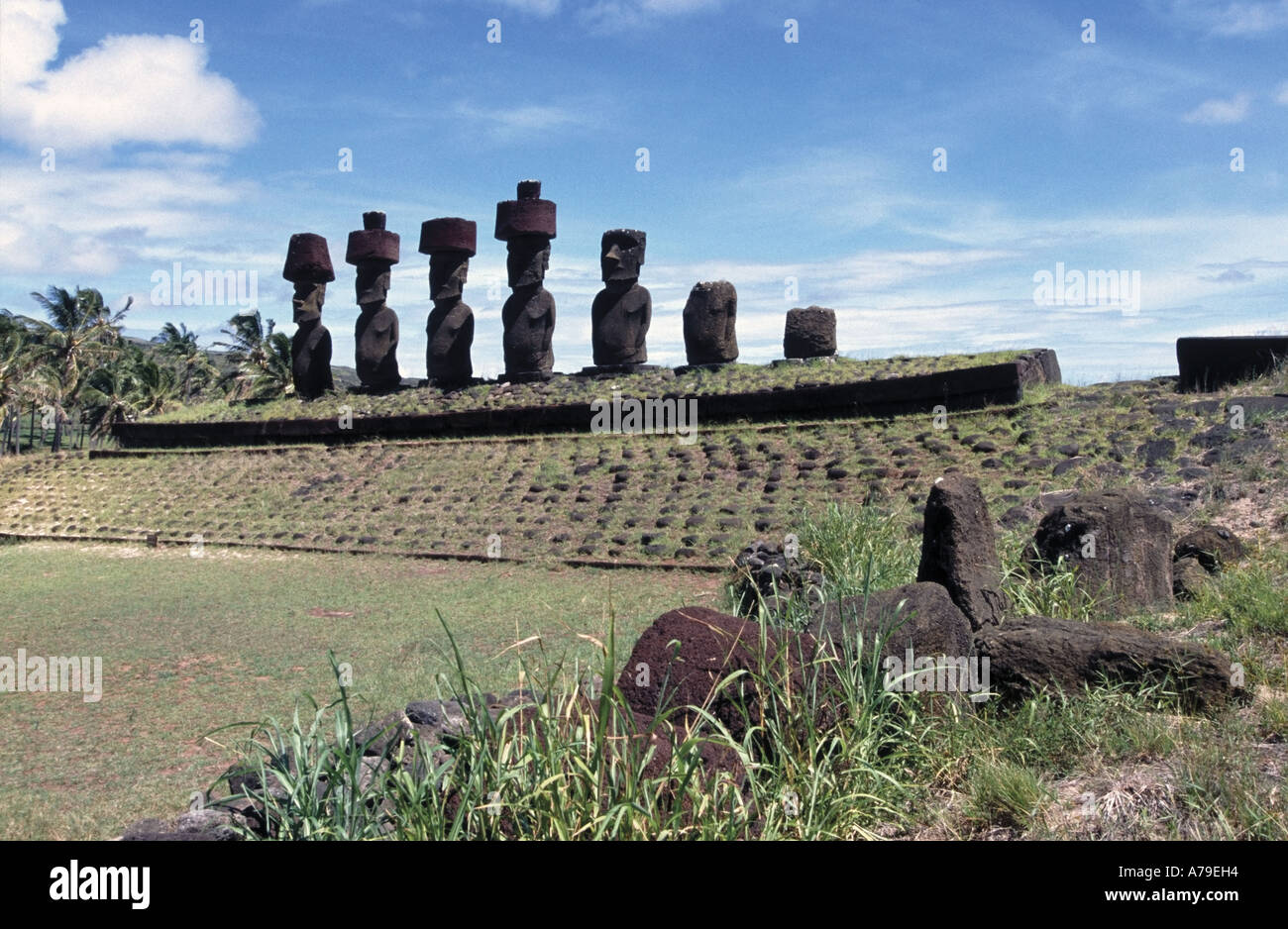 Line of Moai at Anakena beach Easter Island Chile Polynesia Stock Photo ...
