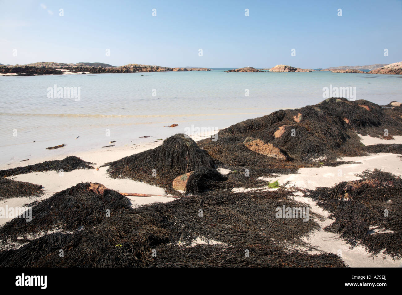 Fidden, Isle of Mull, Scotland, UK, Europe Stock Photo - Alamy