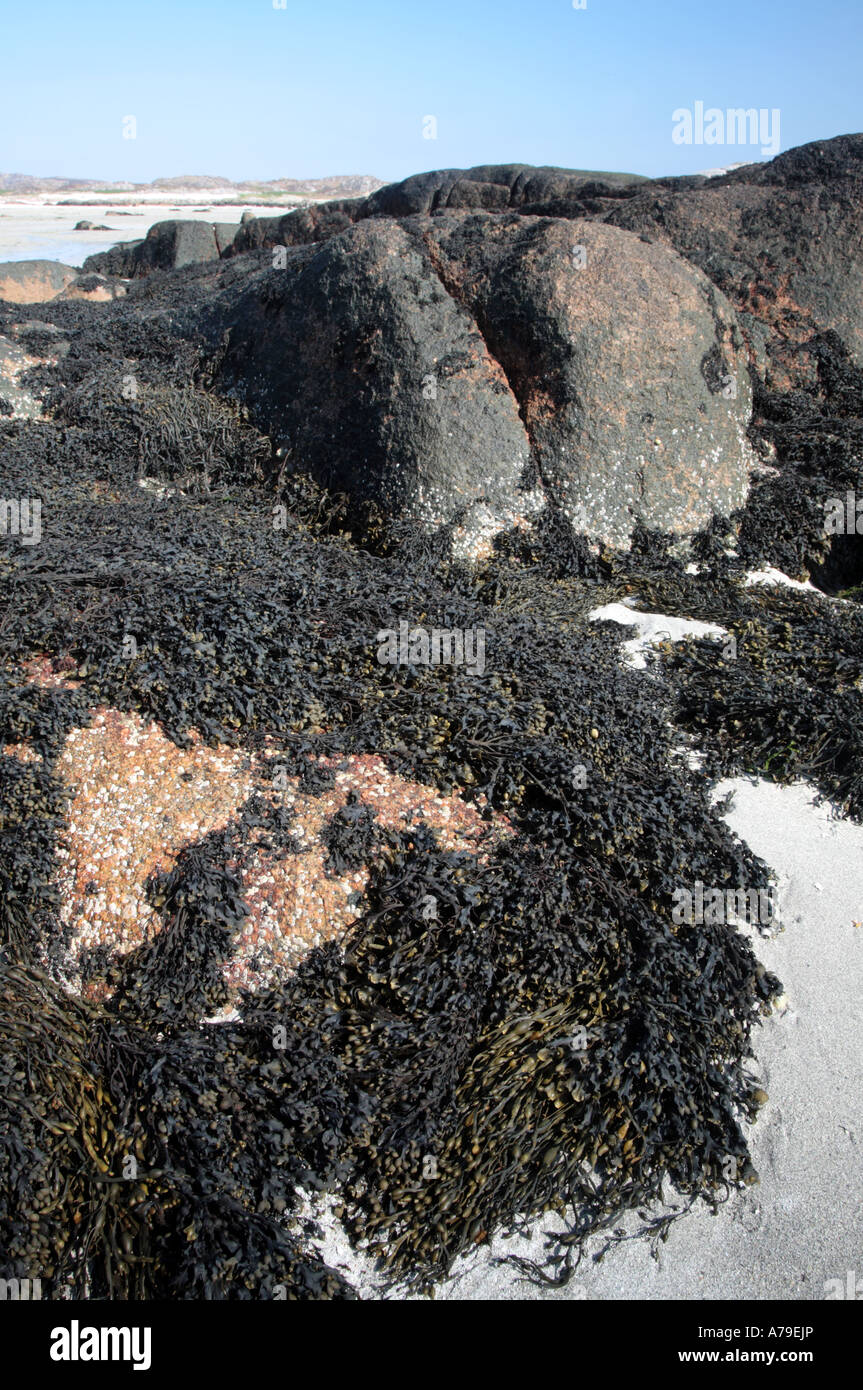 Fidden, Isle of Mull, Scotland, UK, Europe Stock Photo - Alamy
