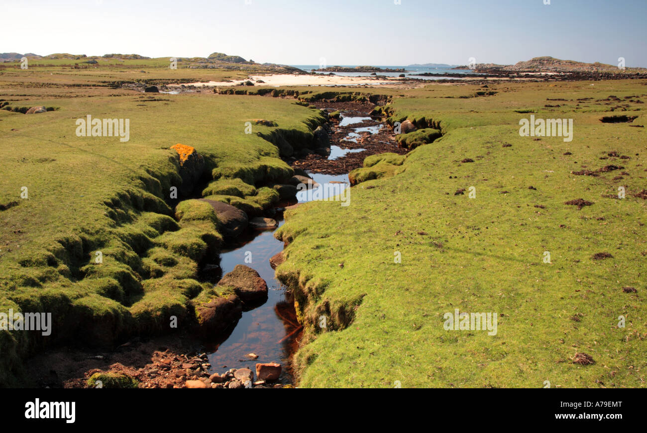 Fidden, Isle of Mull, Scotland, UK, Europe Stock Photo - Alamy