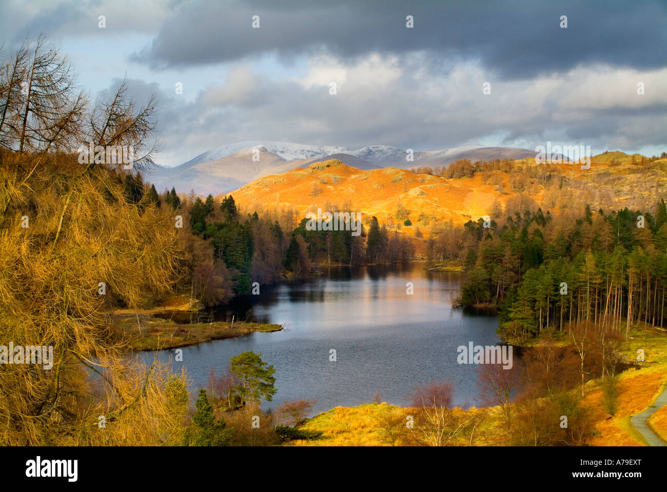 Tarn Hows in winter, Cumbria, England, United Kingdom Stock Photo - Alamy