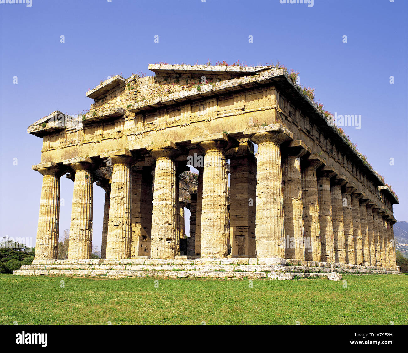 Greek temple of Neptune Paestum Italy Stock Photo - Alamy