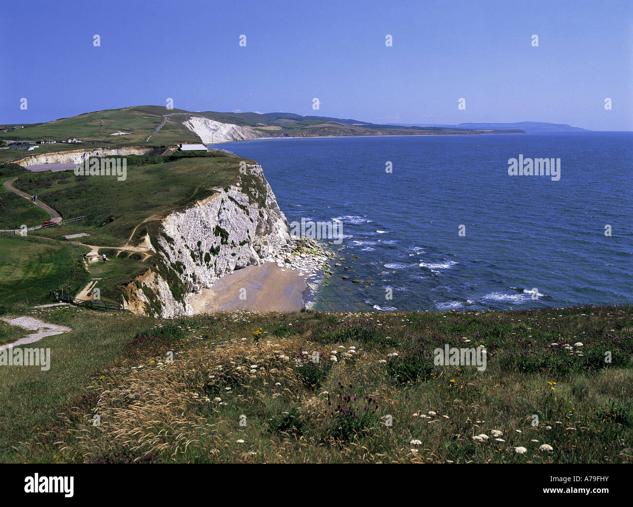 Wight hi-res stock photography and images - Alamy