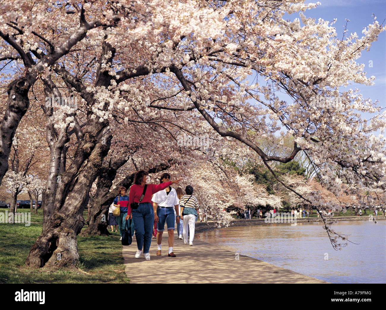 Tidal basin walking path hi-res stock photography and images - Alamy