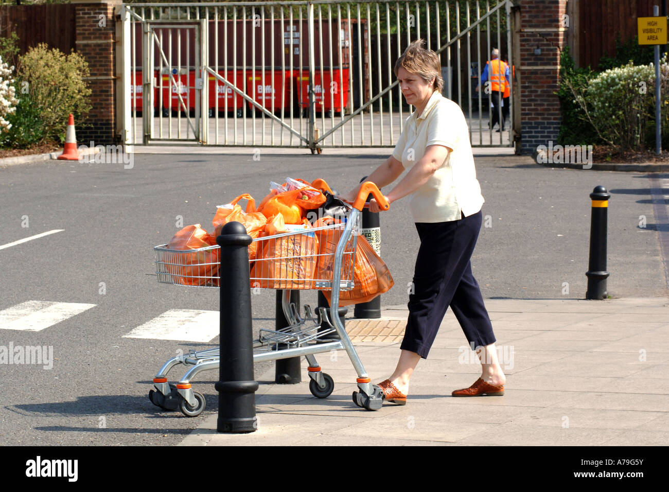 Adult female pushing a shopping cart full of groceries Stock Photo - Alamy