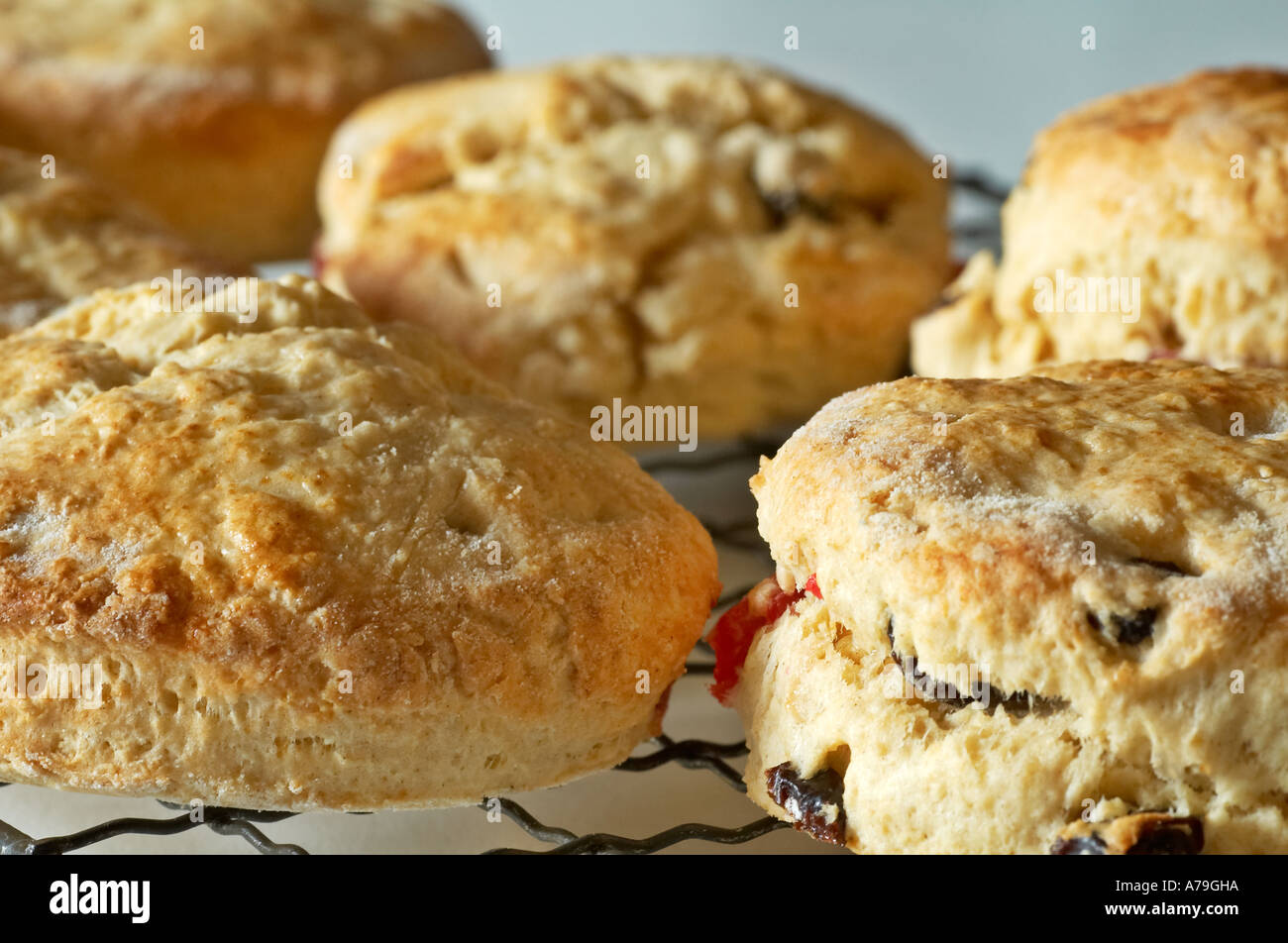 A tray of freshley baked scones taken from the oven and cooling on a ...