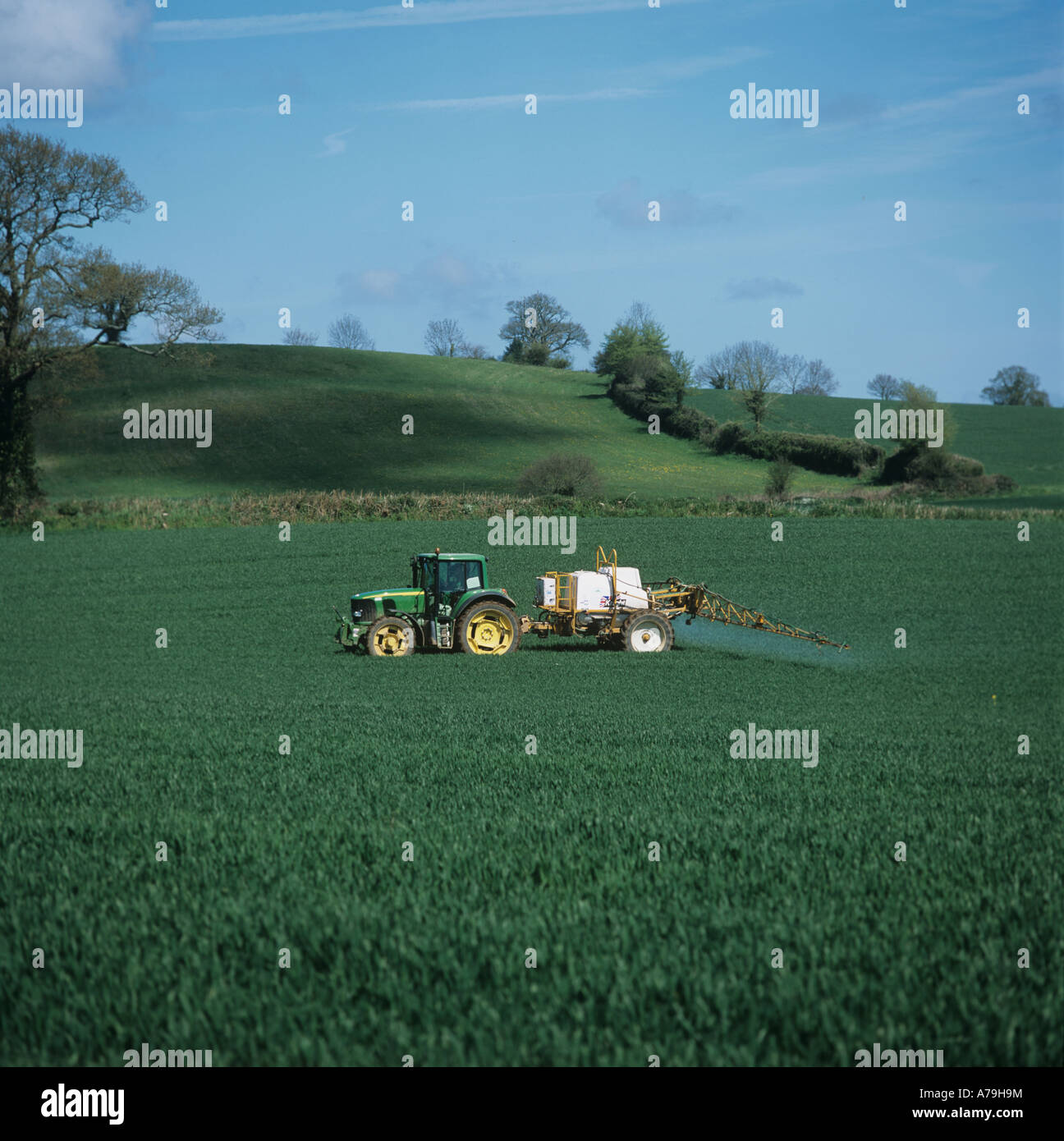 John Deere tractor trailed sprayer spraying wheat crop at stage 32 ...