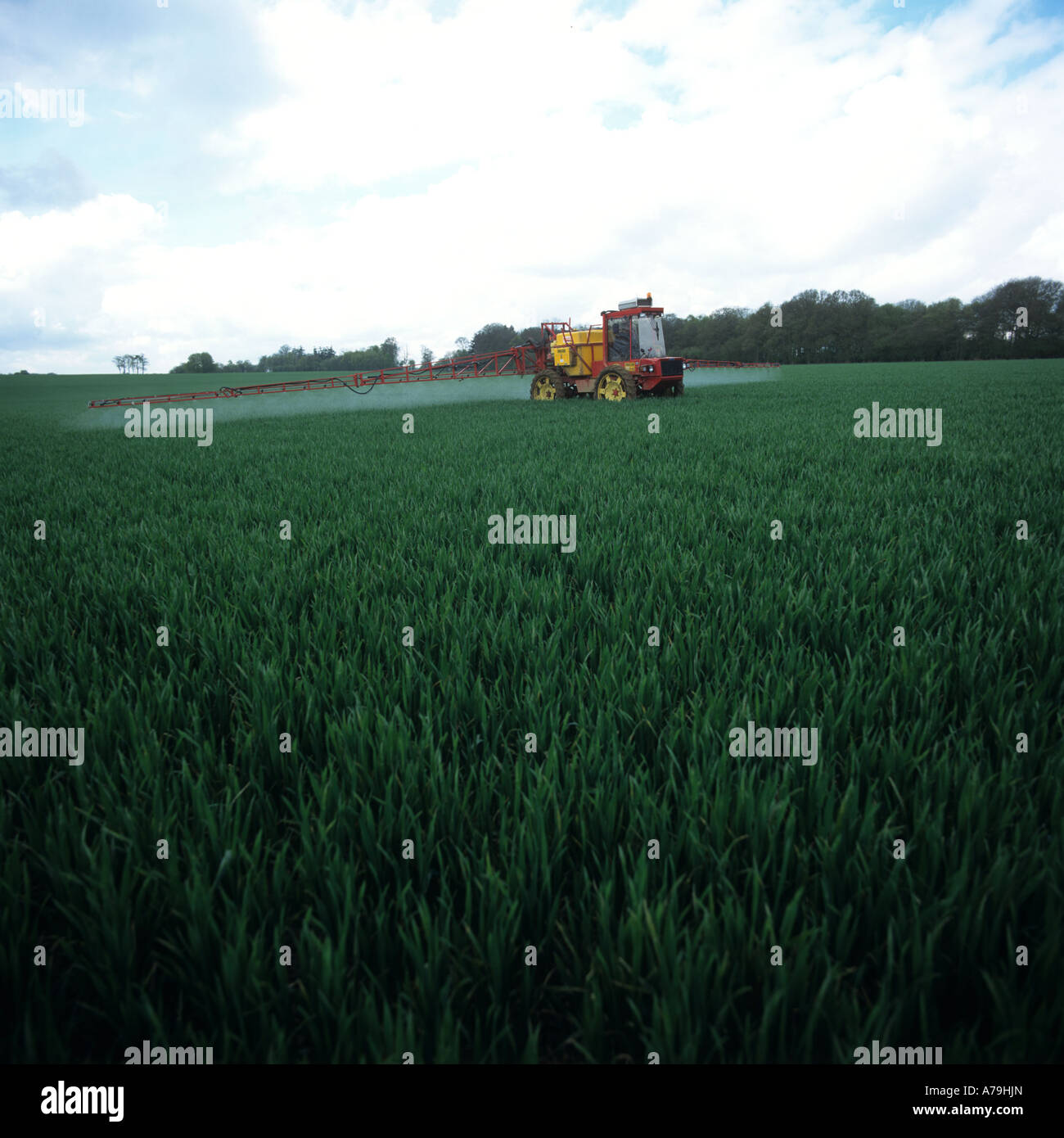 Frazier Buggy and mounted sprayer spraying wheat crop Hampshire Stock ...