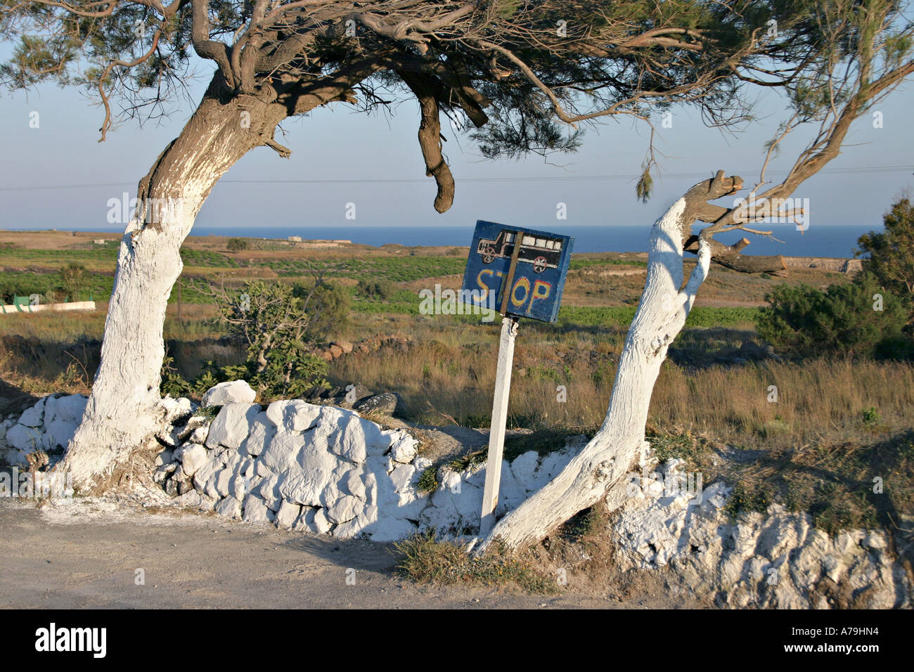 Rough Bus Stop: A rustic hand painted sign and white washed tree trunks ...