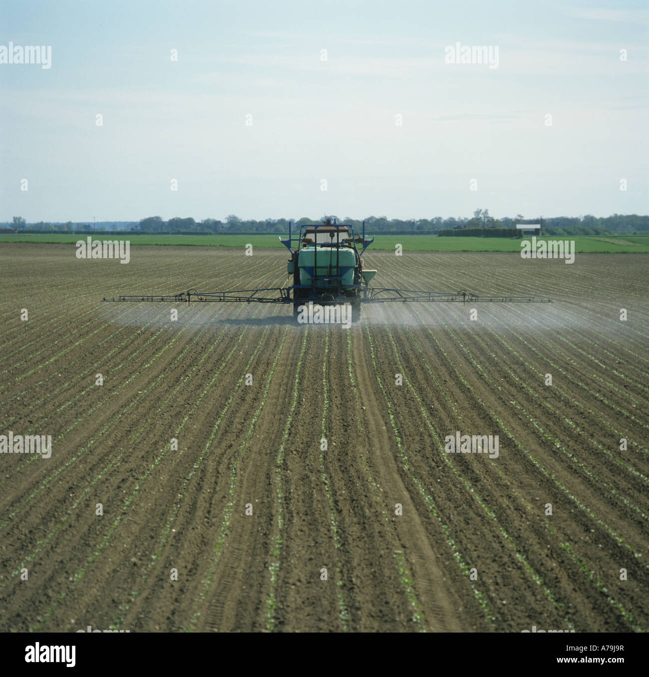 Uk sugar beet spray hi-res stock photography and images - Alamy