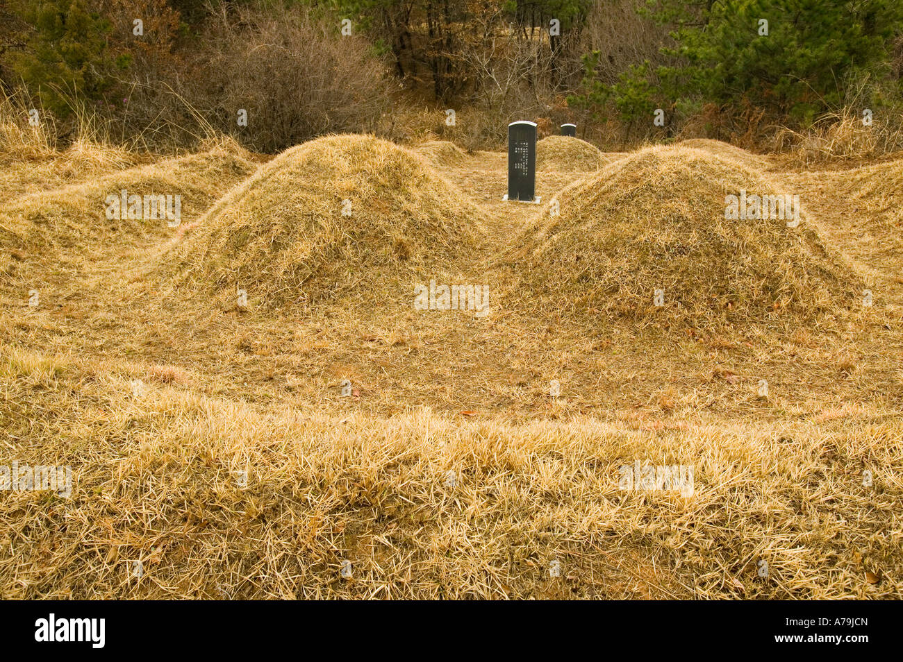 Korean graves in remote woodland on a hill top near Seoul, south Korea ...