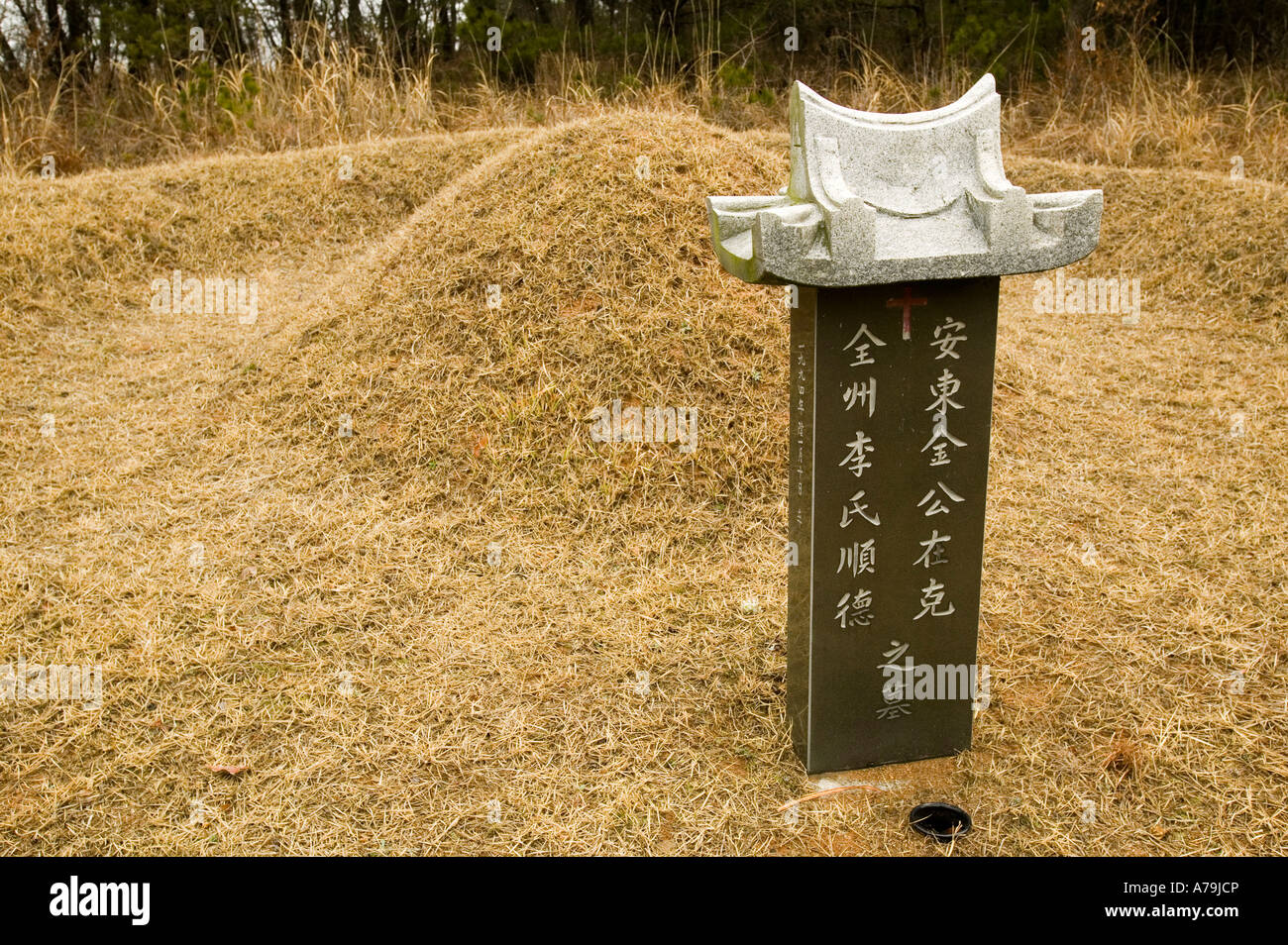 Korean graves in remote woodland on a hill top near Seoul, south Korea ...