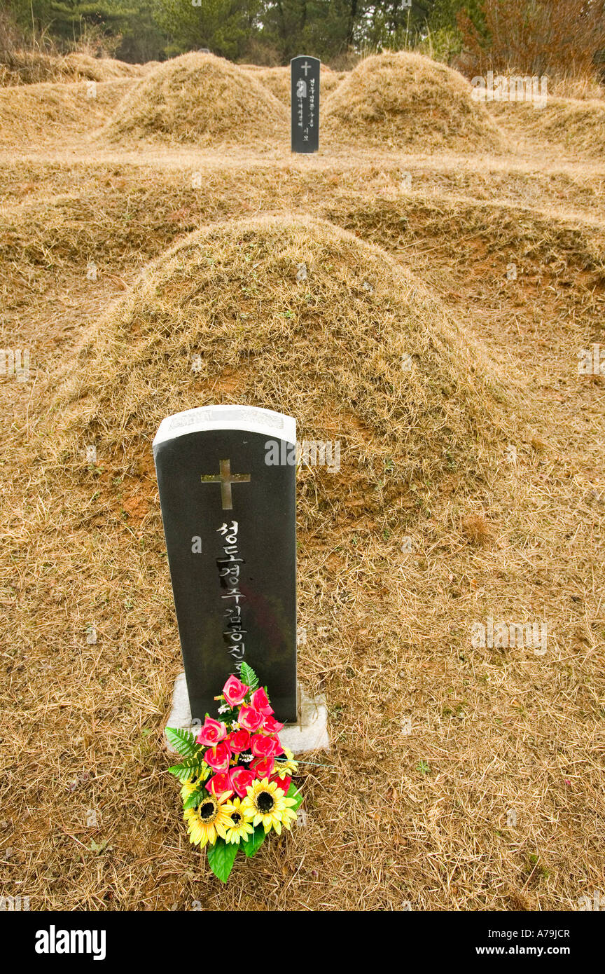 Korean graves in remote woodland on a hill top near Seoul, south Korea ...