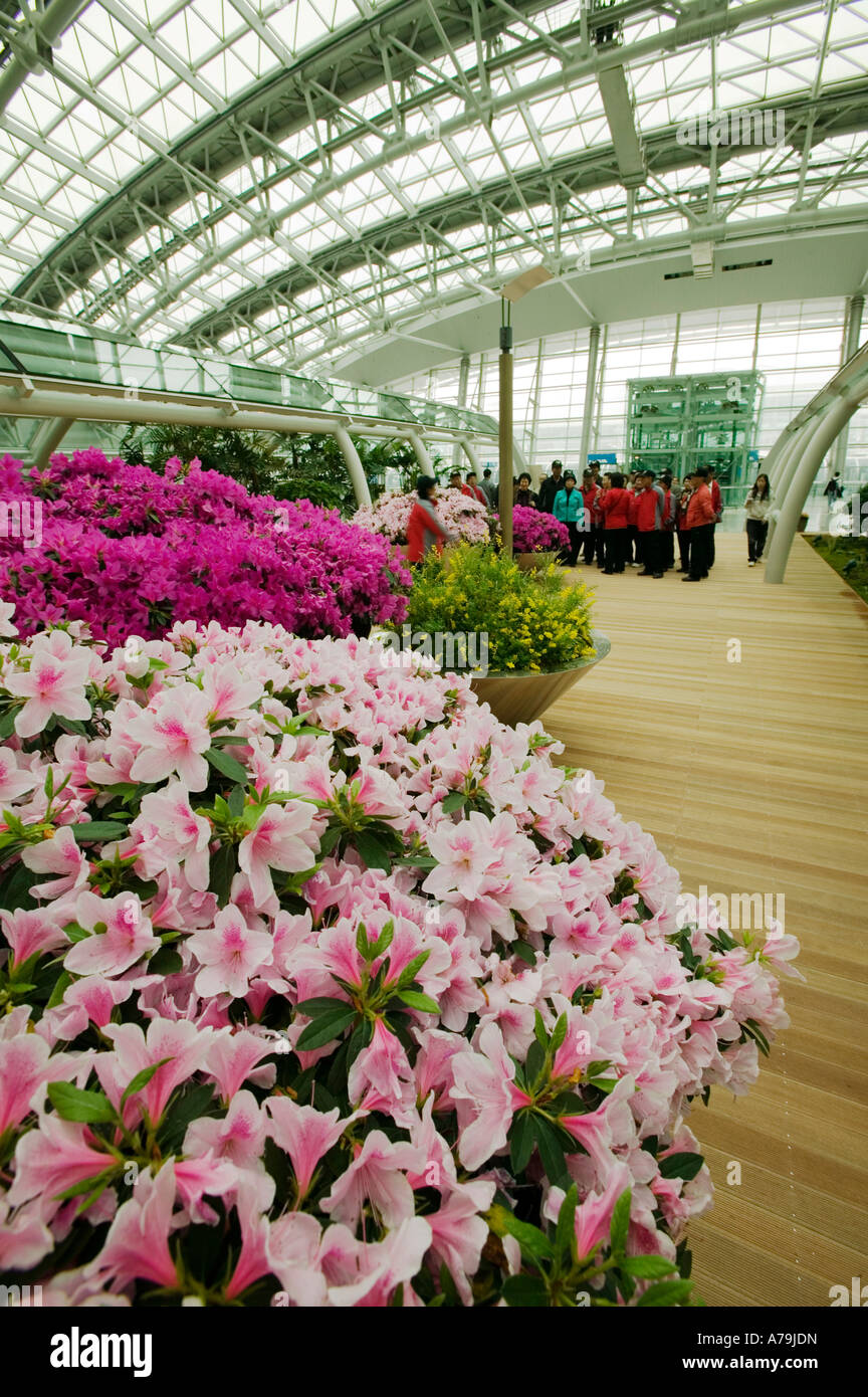 The interior of Incheon Airport, Seoul, South Korea Stock Photo - Alamy