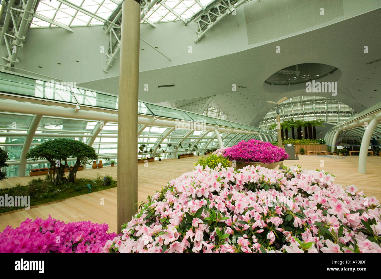 The interior of Incheon Airport, Seoul, South Korea Stock Photo - Alamy