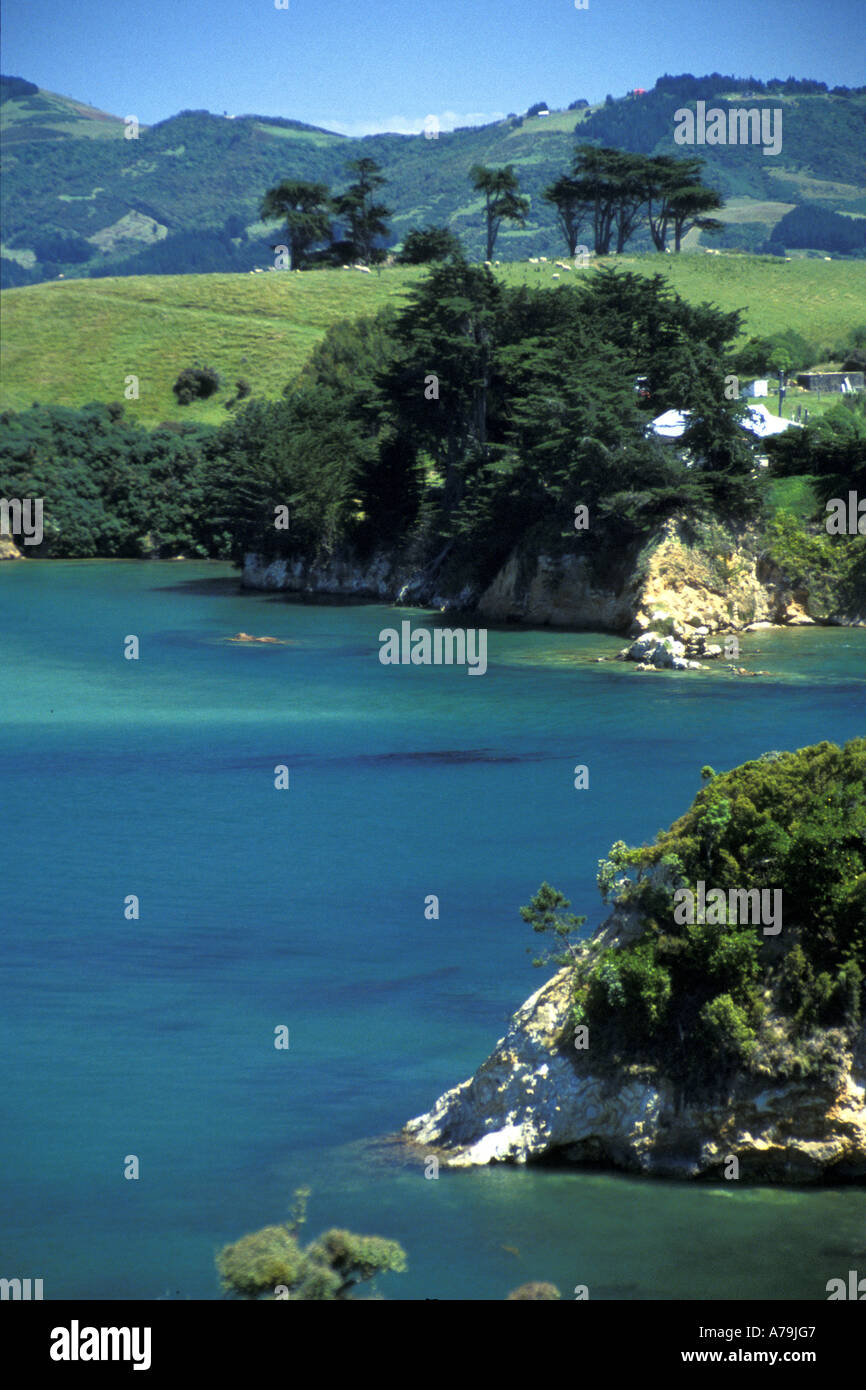 Rocky coastline and sheep paddocks surround the Portobello estuary near ...