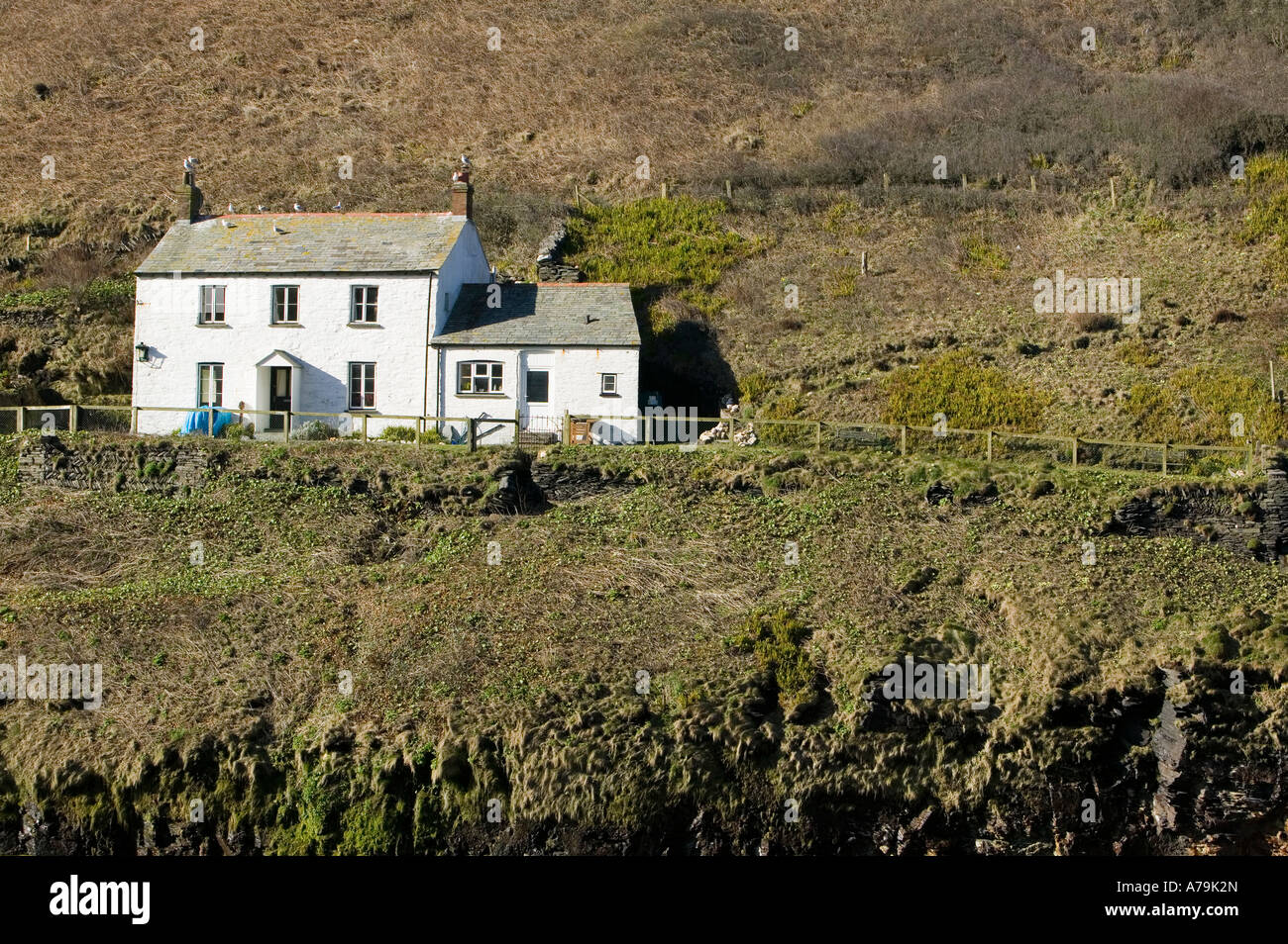 A house above Boscastle Harbour, Cornwall, UK Stock Photo - Alamy