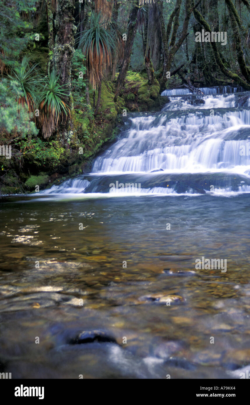 Cephissus Falls deep in Pine Valley Cradle Mt Lake St Clair National ...