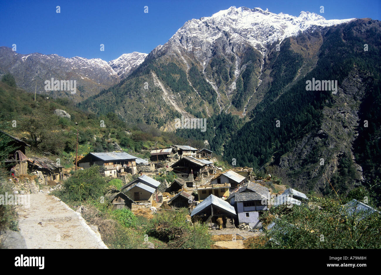 Himalayan tea house hi-res stock photography and images - Alamy