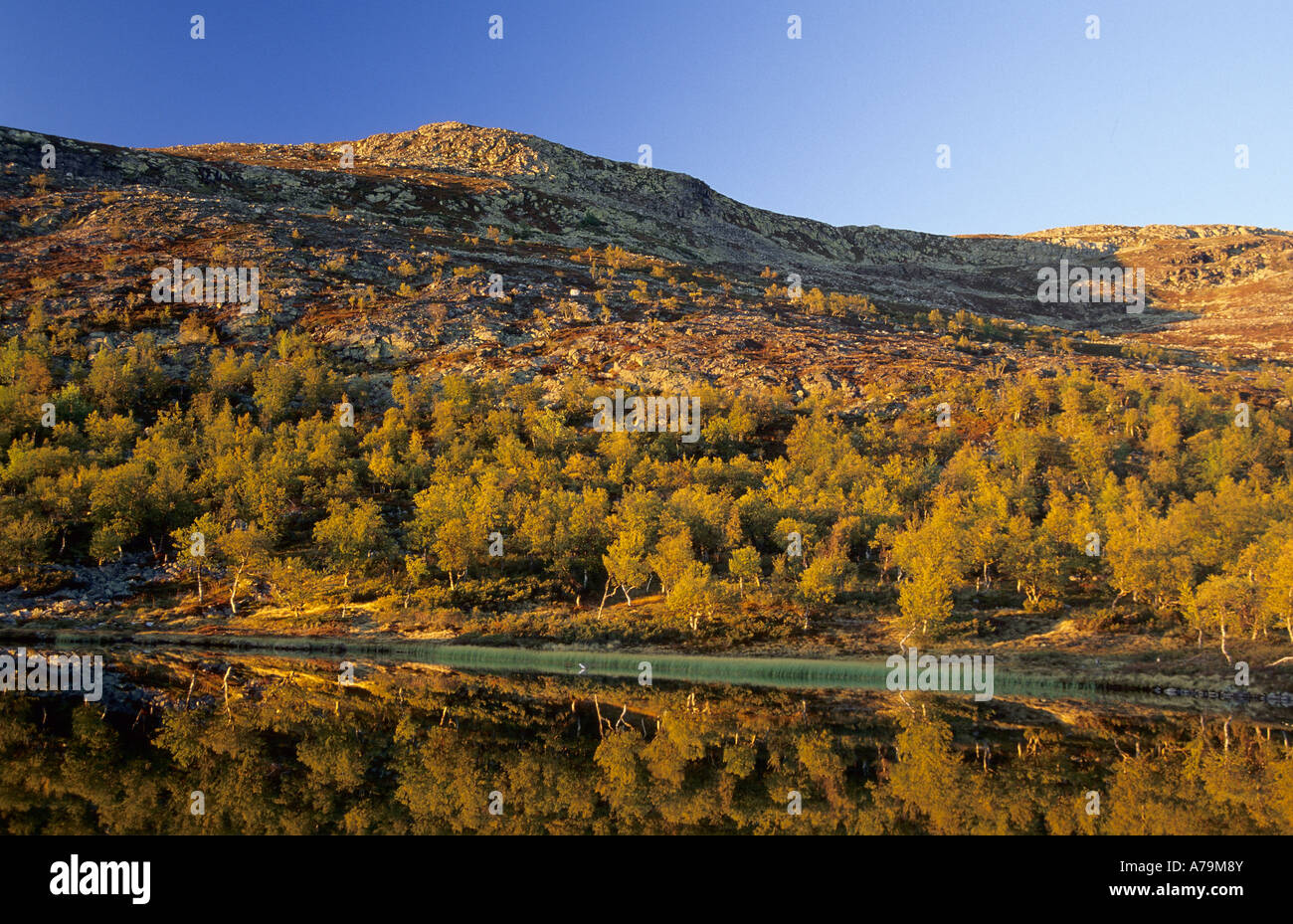 Norweigan mountain landscape Stock Photo - Alamy