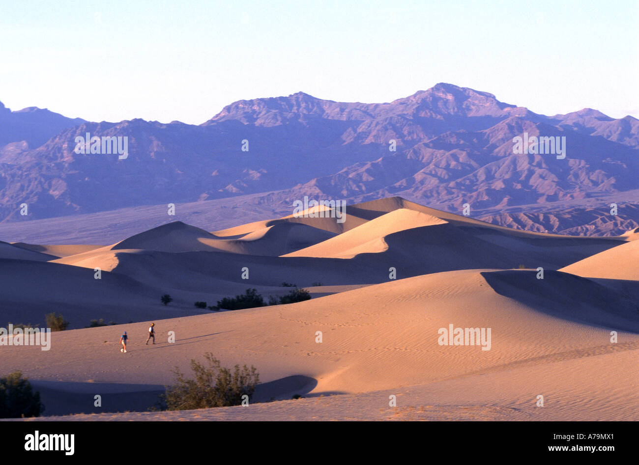 Death Valley desert sand dunes United States of America National Park ...