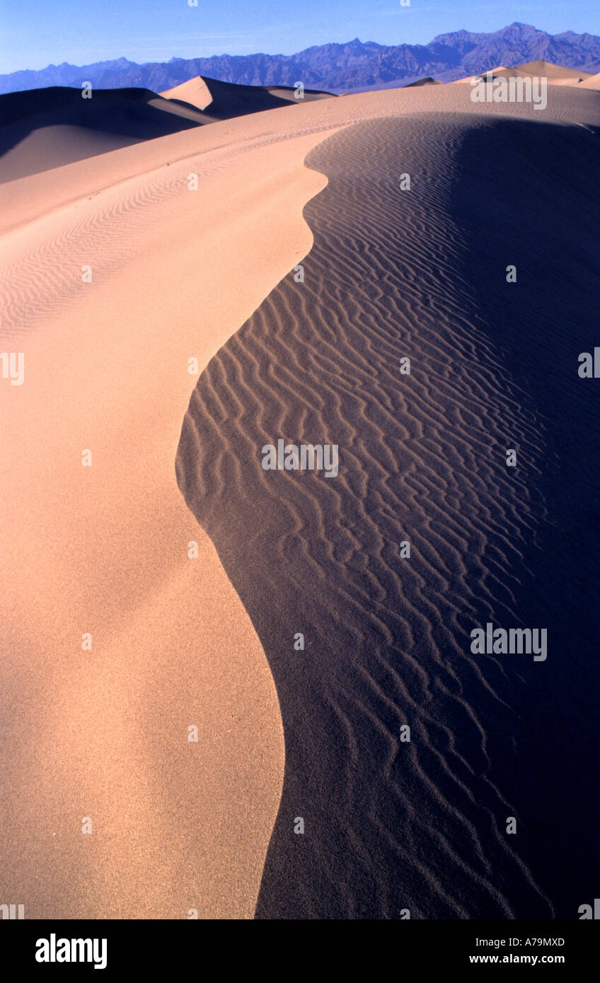 Sand biotopes hi-res stock photography and images - Alamy