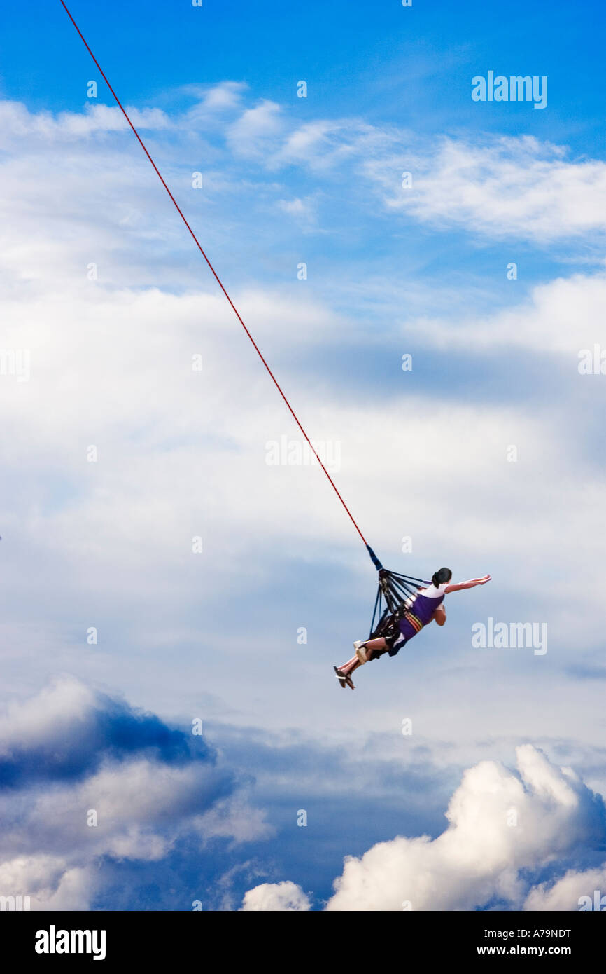In a harness hi-res stock photography and images - Alamy