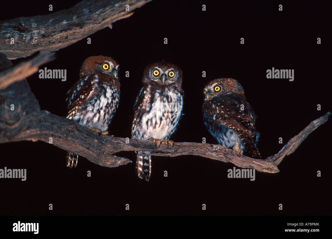 R398 hi-res stock photography and images - Alamy