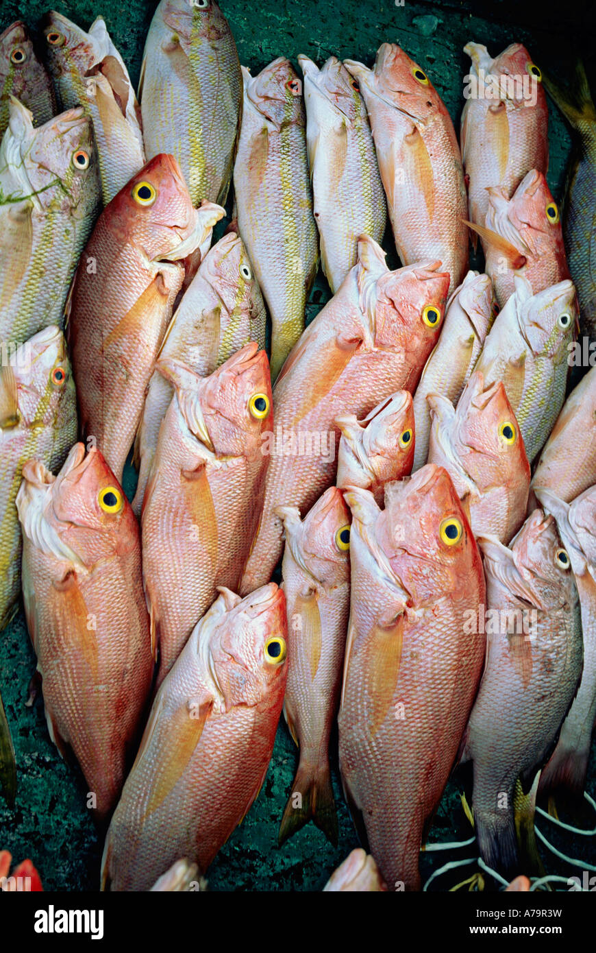 Fish cart hi-res stock photography and images - Alamy