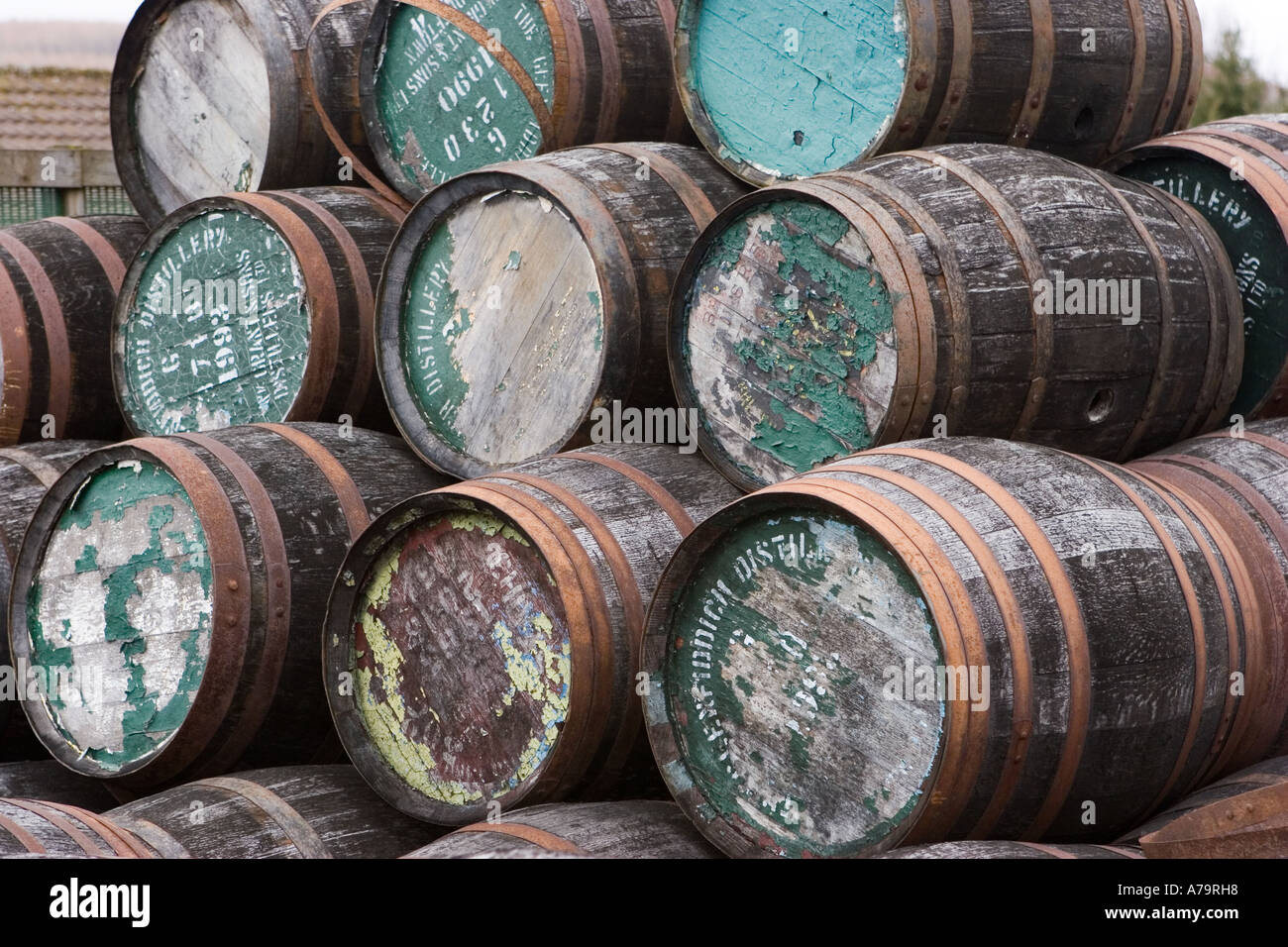 Rows whisky barrels distillery hi-res stock photography and images - Alamy