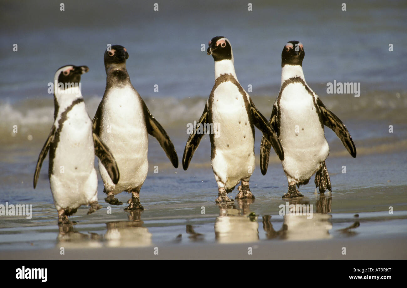 Side four hi-res stock photography and images - Alamy