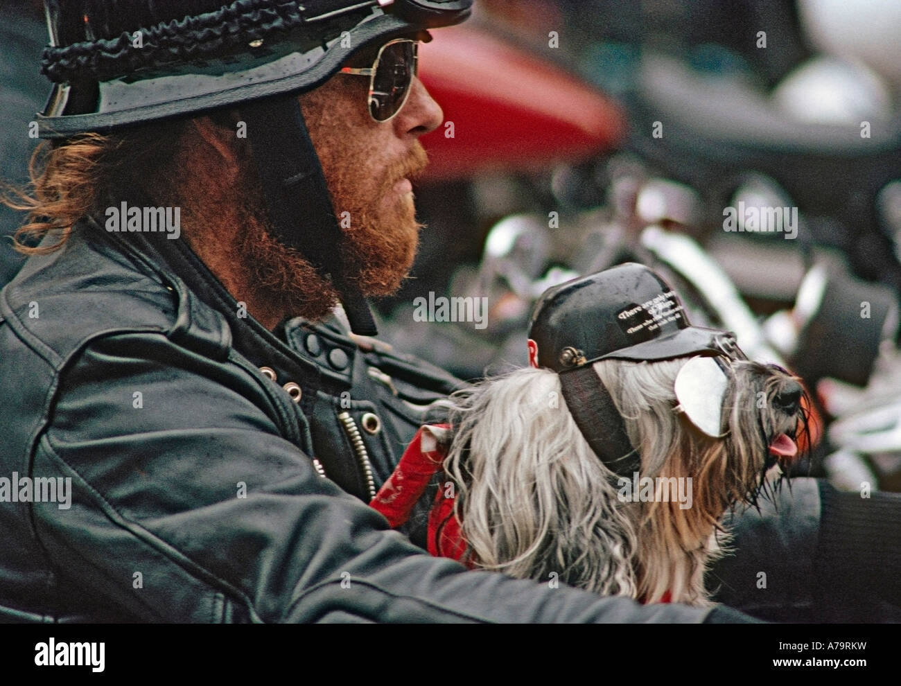 Biker gangs hi-res stock photography and images - Alamy