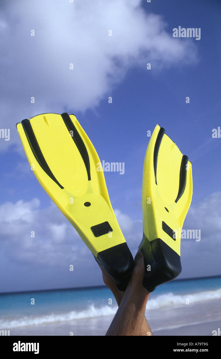 Swim Fins in front of blue sky and sea Model Released Stock Photo - Alamy