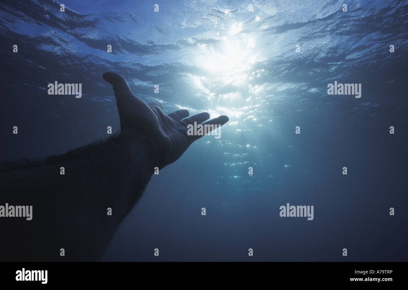 Hand reaching underwater hi-res stock photography and images - Alamy