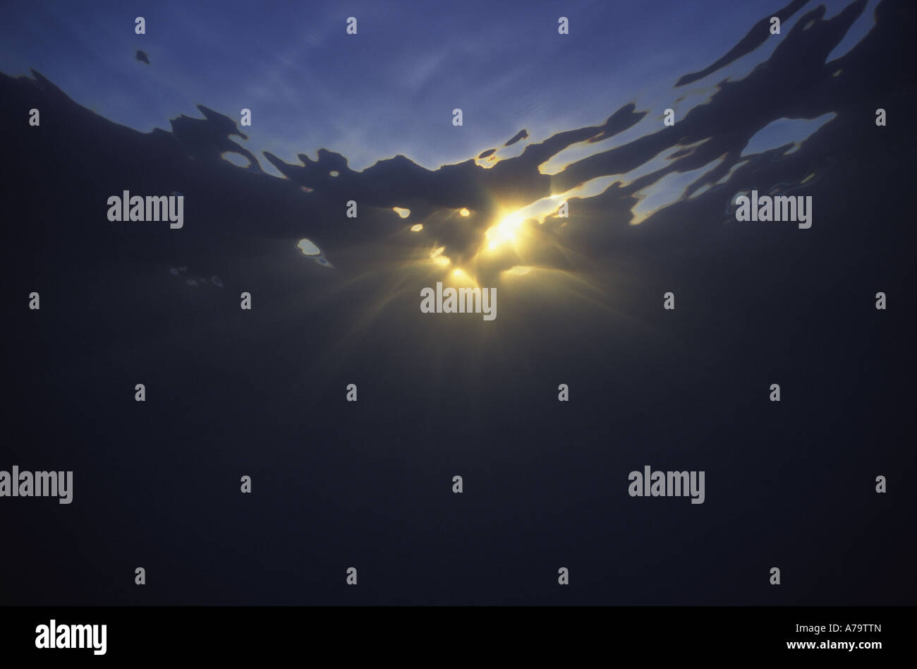 Looking up surface from underwater hi-res stock photography and images ...