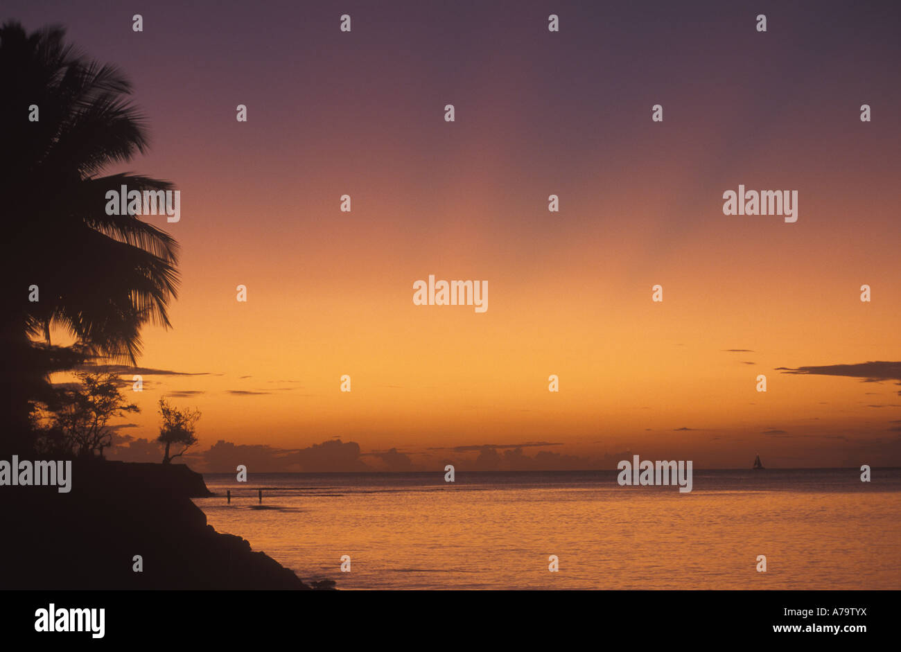 Glorious afterglow follow a sunset over ocean with palm trees Stock ...