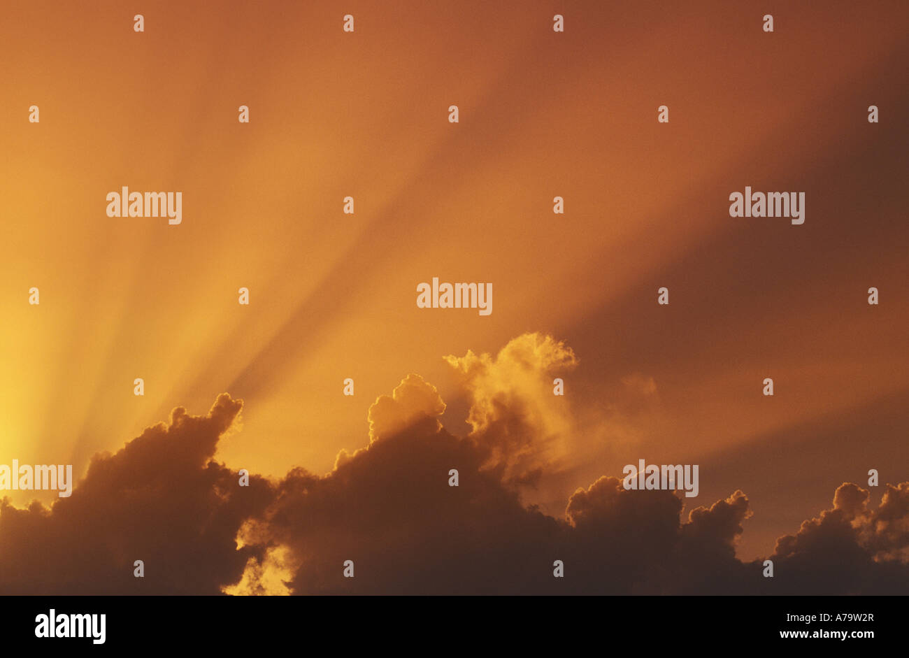 Powerful sunbeams majestically blast orange light rays through puffy ...