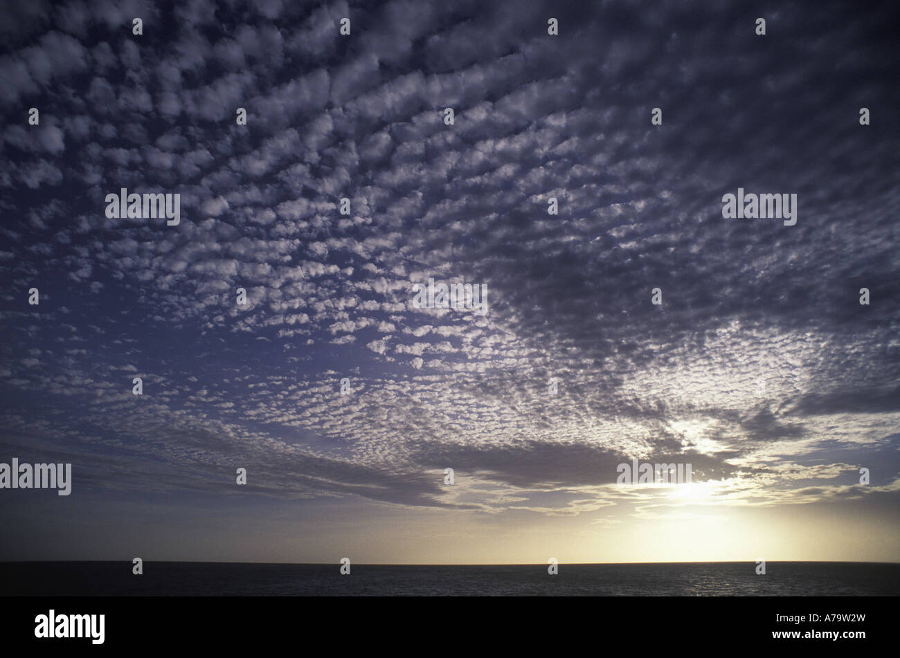 A brilliant sunset spreads it's light to the high altocumulus clouds ...