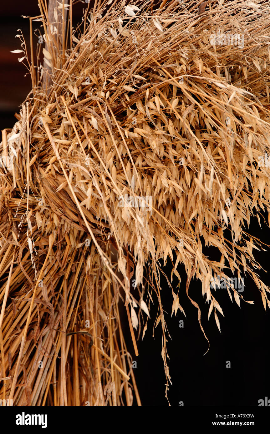 Wheat sheaf at the Norsk Folkemuseum is Norways largest open air museum ...