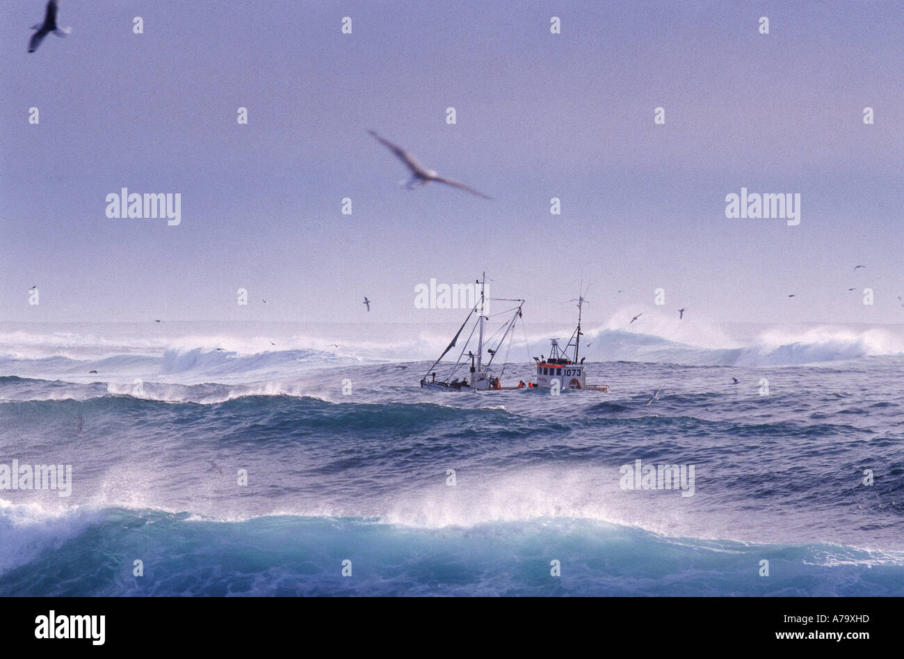 Fishing trawler in North Atlantic ocean, Iceland Stock Photo - Alamy