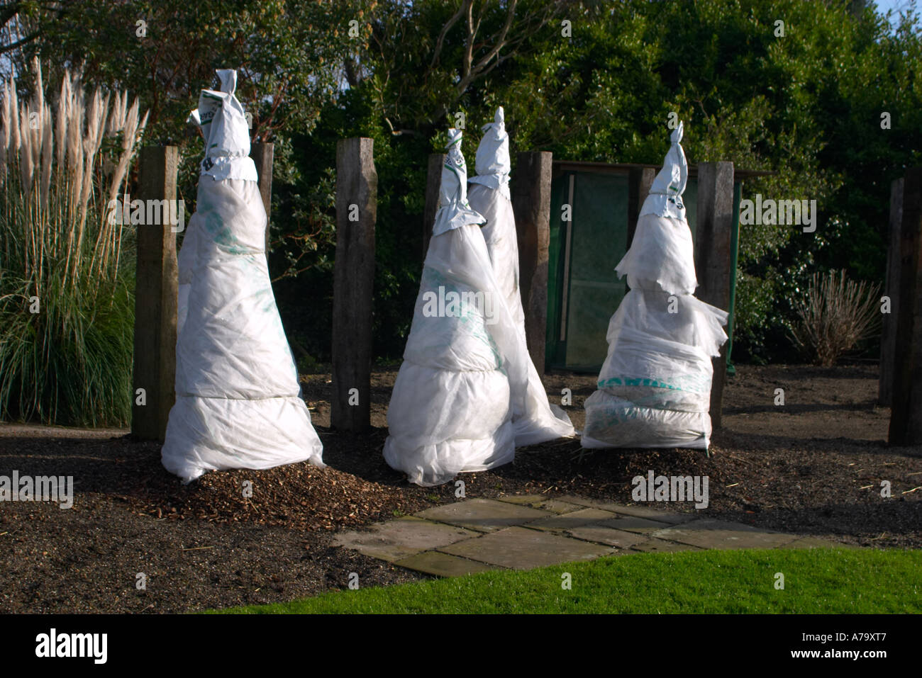 Frost protection hi-res stock photography and images - Alamy