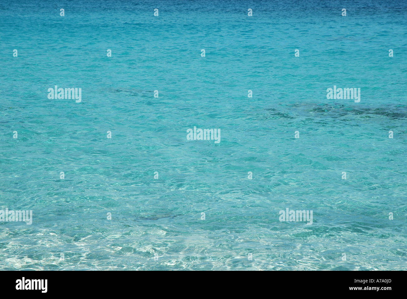 Clear blue sea, Coki Point Beach, St Thomas, Virgin Islands, Caribbean ...