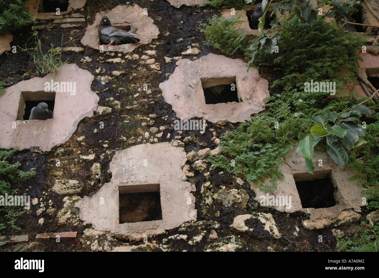 Pigeonholes hi-res stock photography and images - Alamy