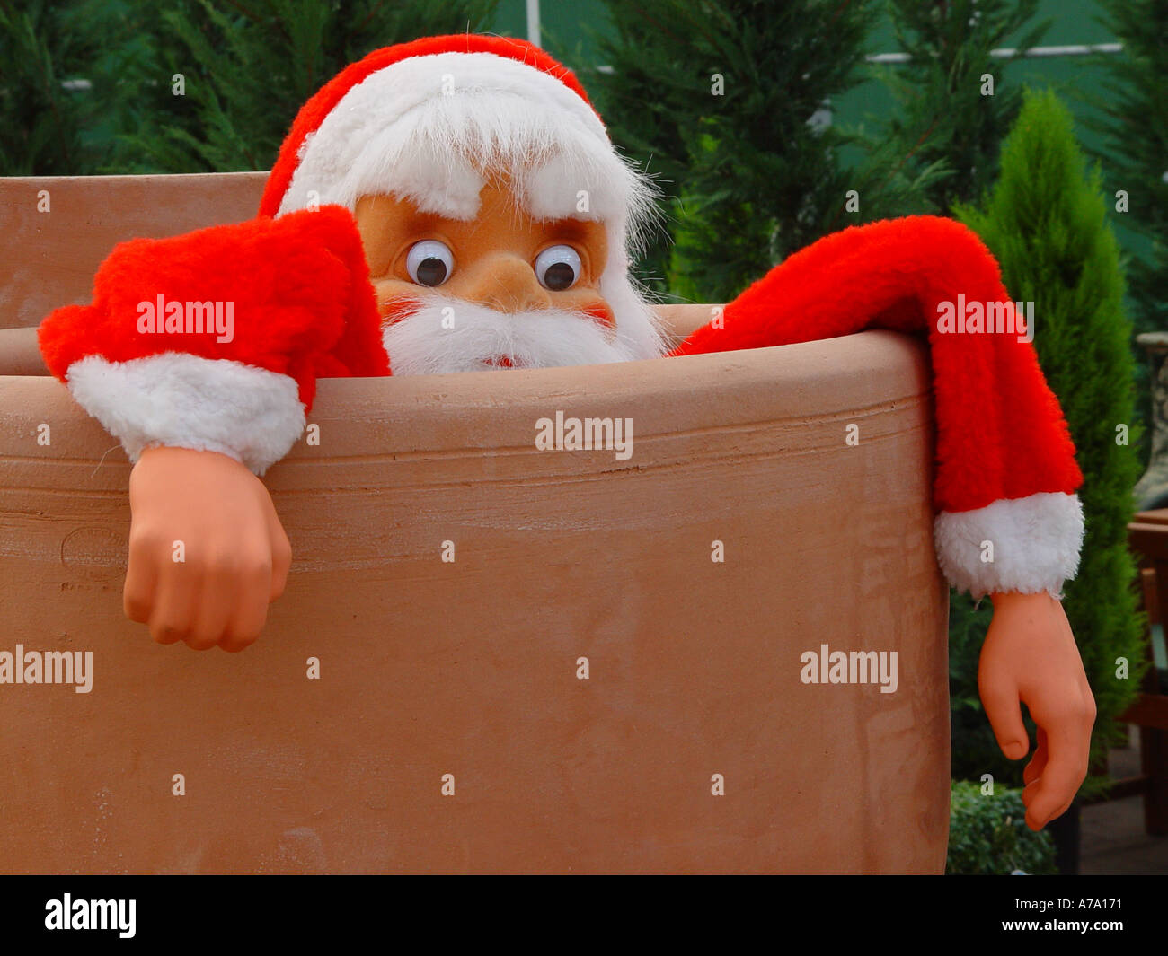 Father Christmas in garden pot Stock Photo - Alamy