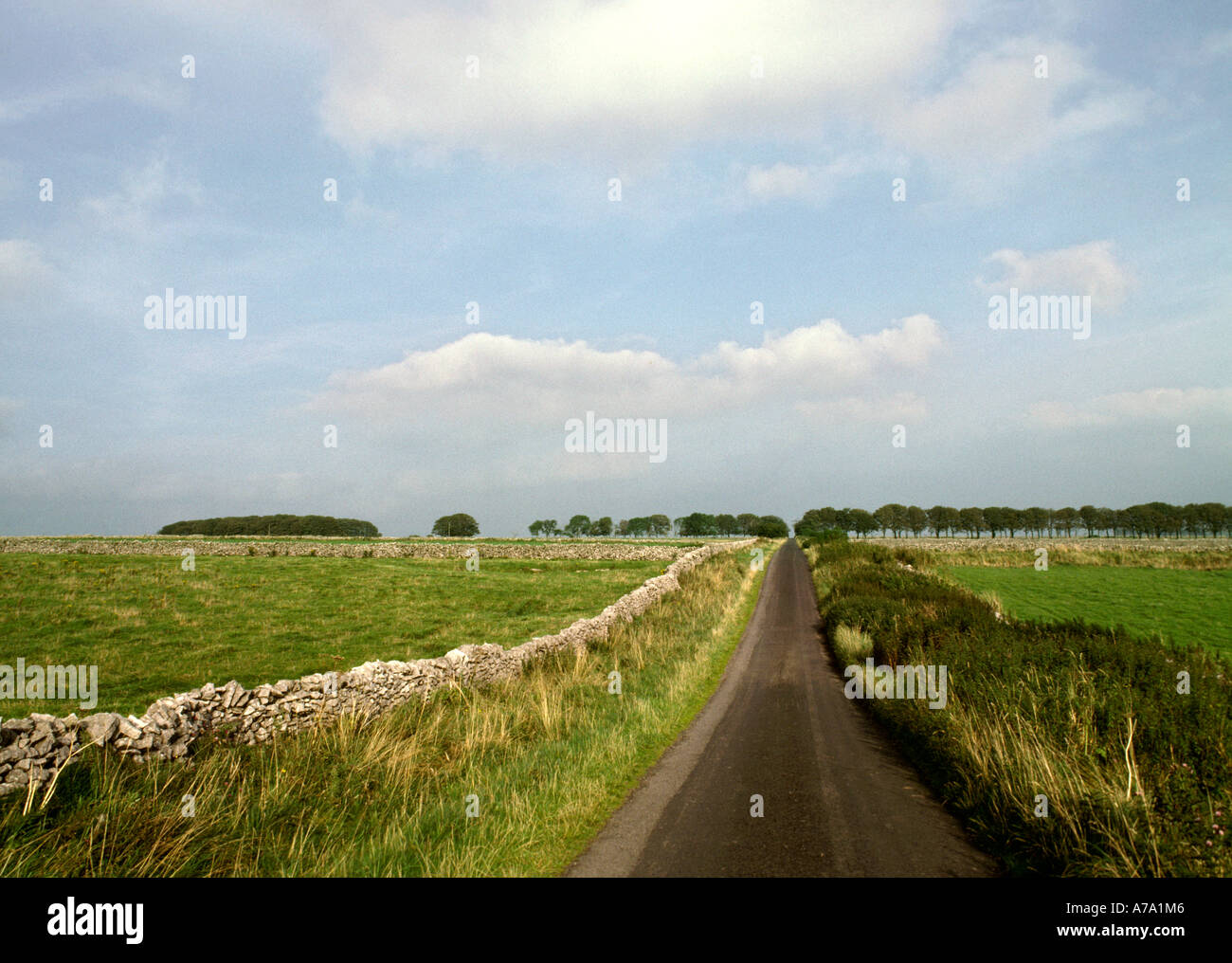 Derbyshire Peak District straight road between dry stone walled fields ...
