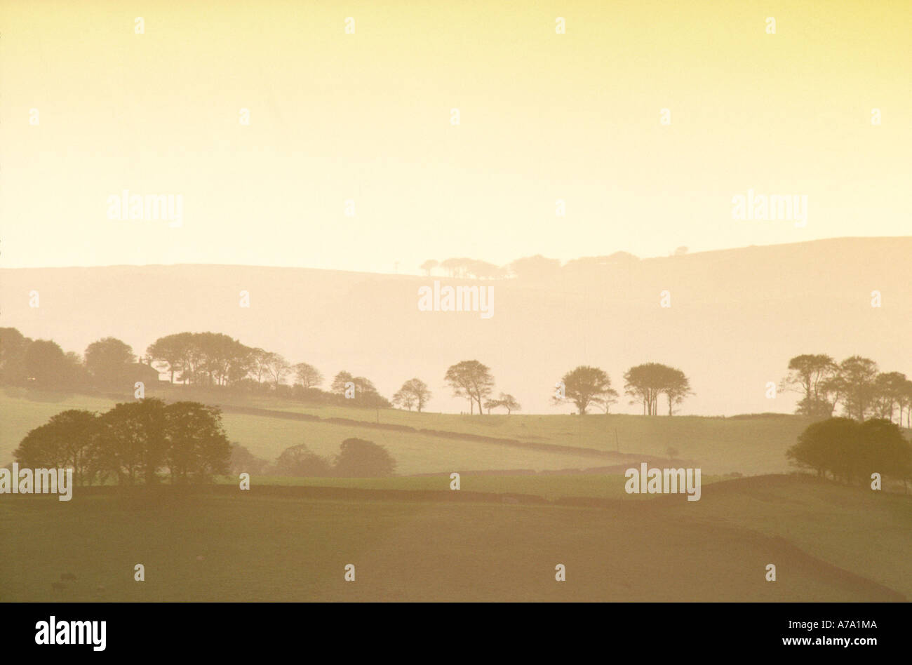 Frith wood hi-res stock photography and images - Alamy