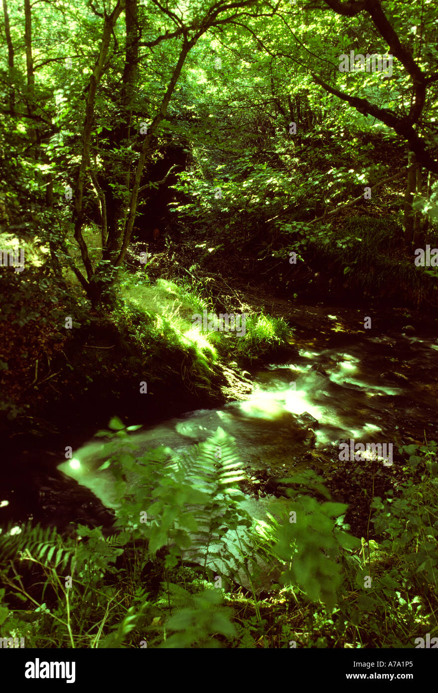 Wincle hi-res stock photography and images - Alamy