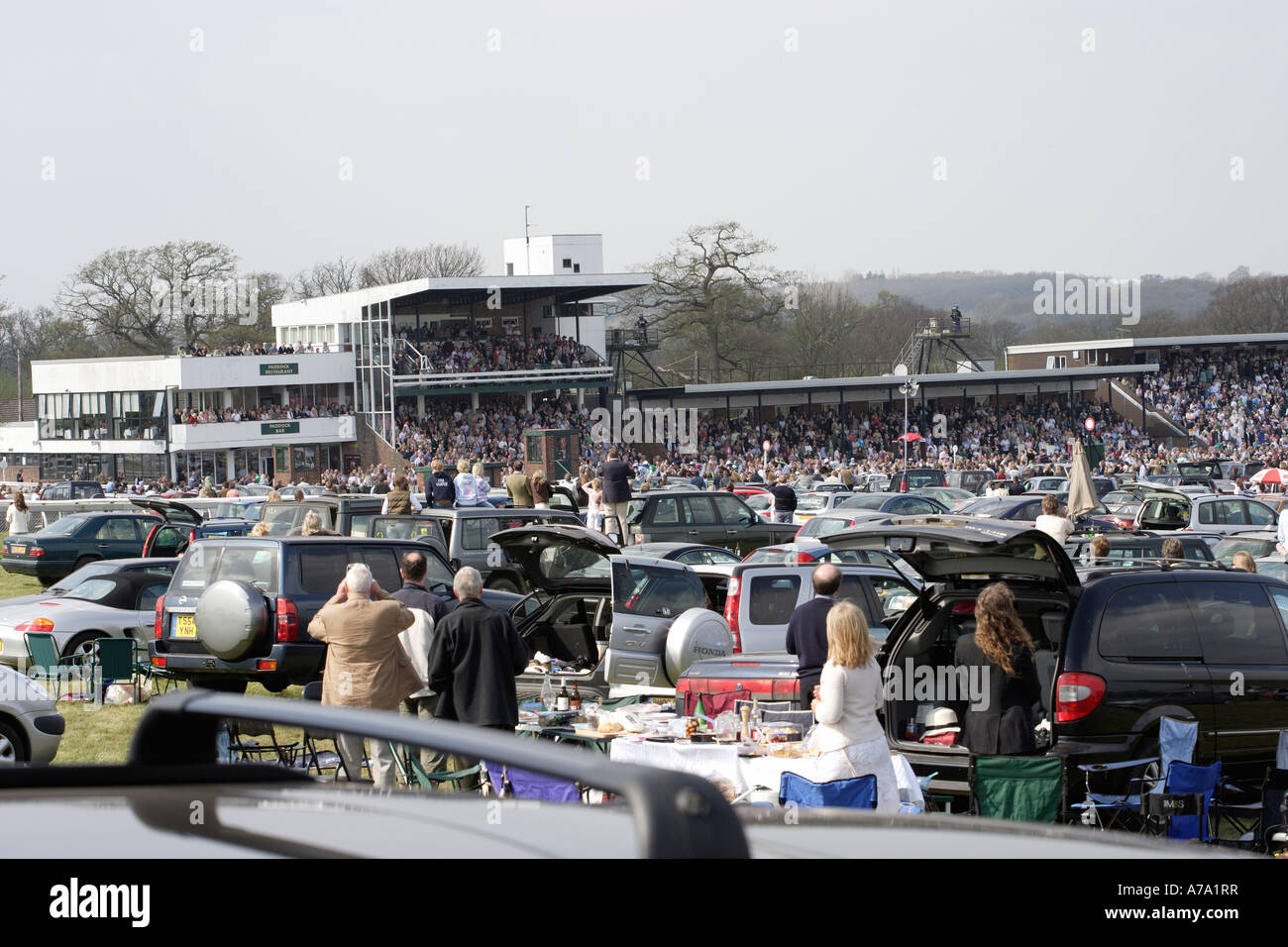 Plumpton racing hi-res stock photography and images - Alamy